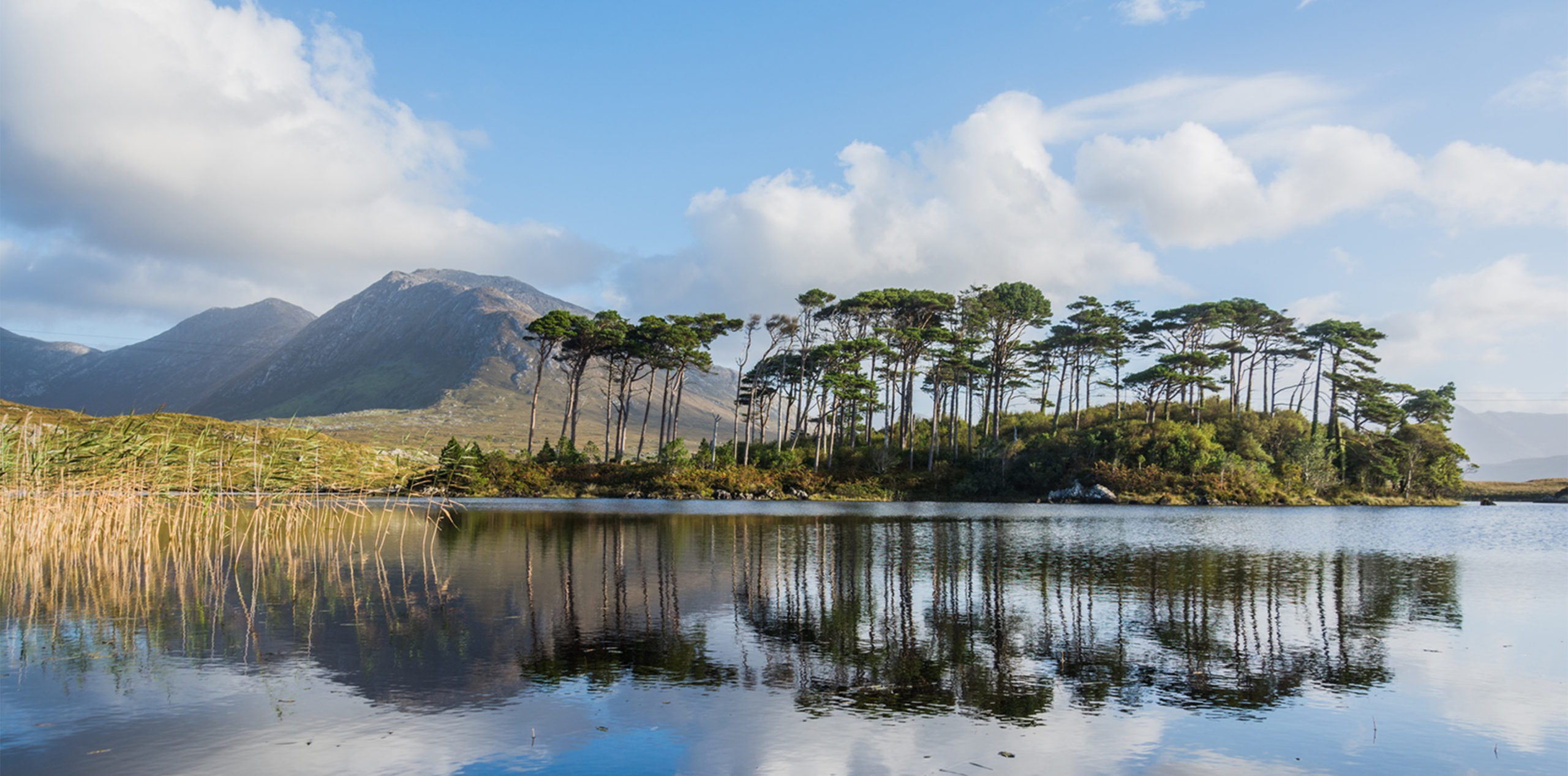 Discover Southern Ireland - Tour Partner Group