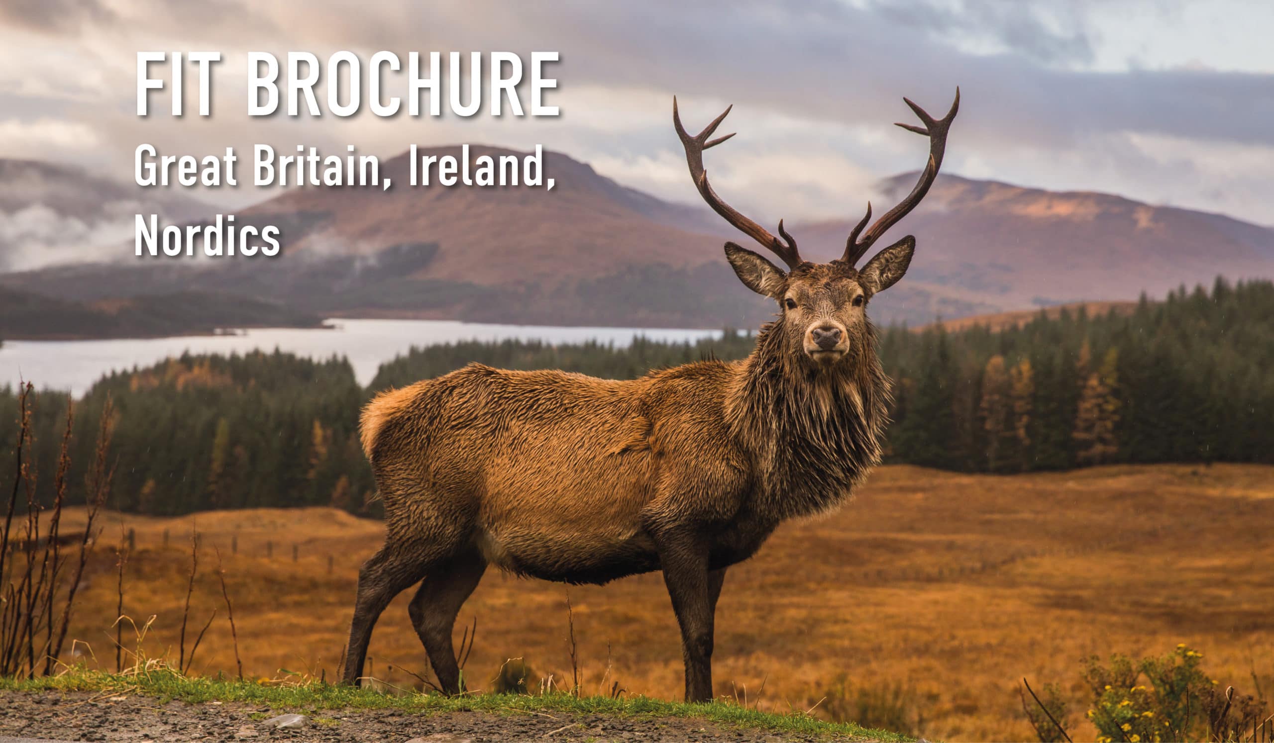 Tour Partner Group | B2B specialist for Northern Europe