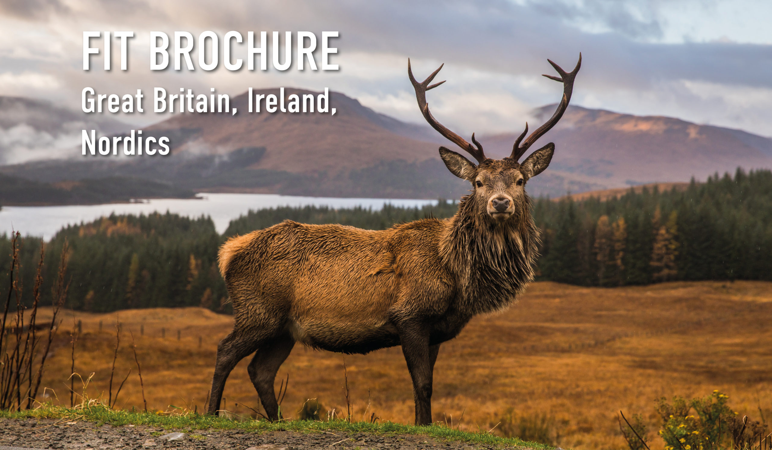 Tour Partner Group | B2B specialist for Northern Europe