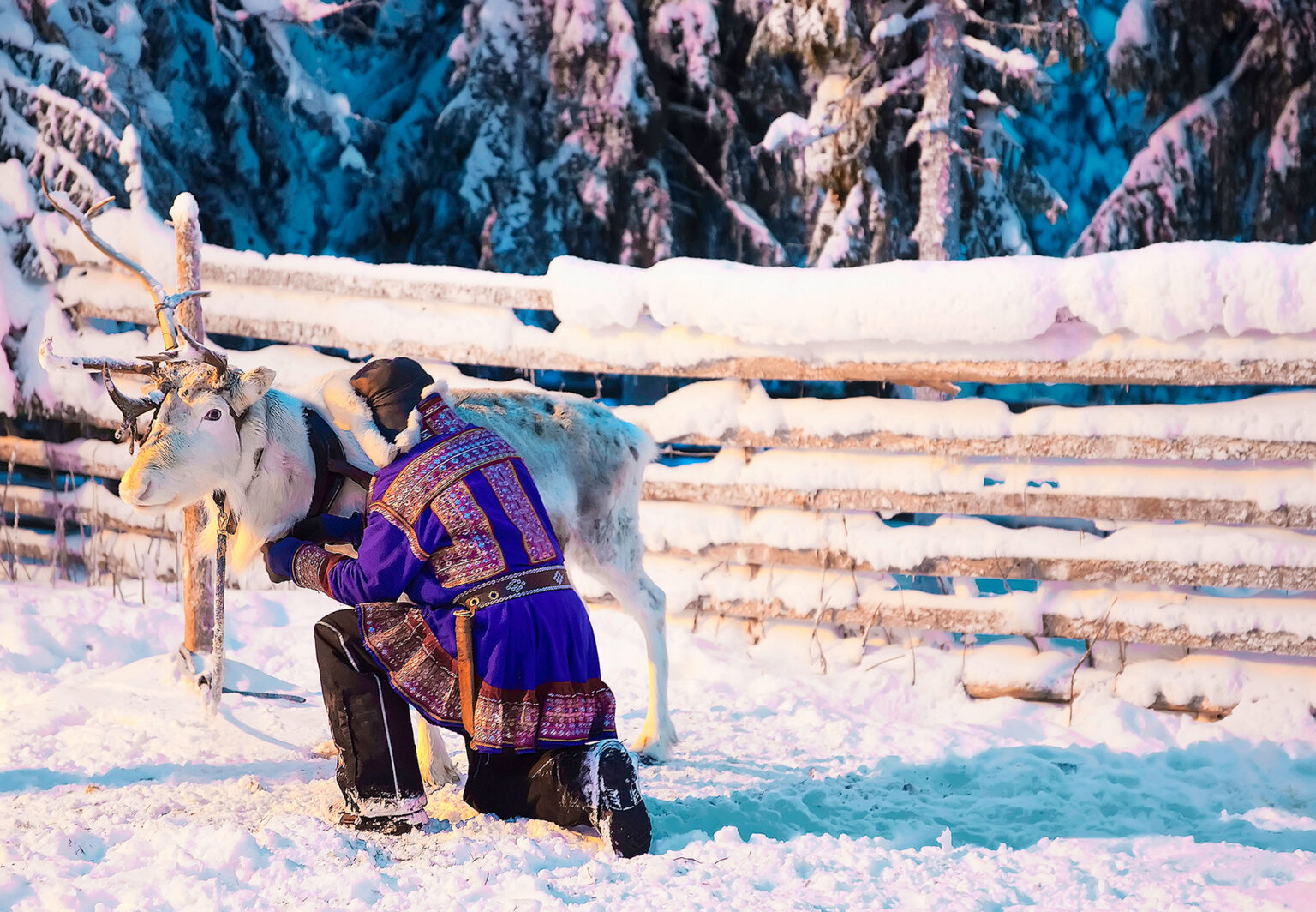 Navidad en la tierra de Papá Noel 2025 - Salida Especial 29 de ...